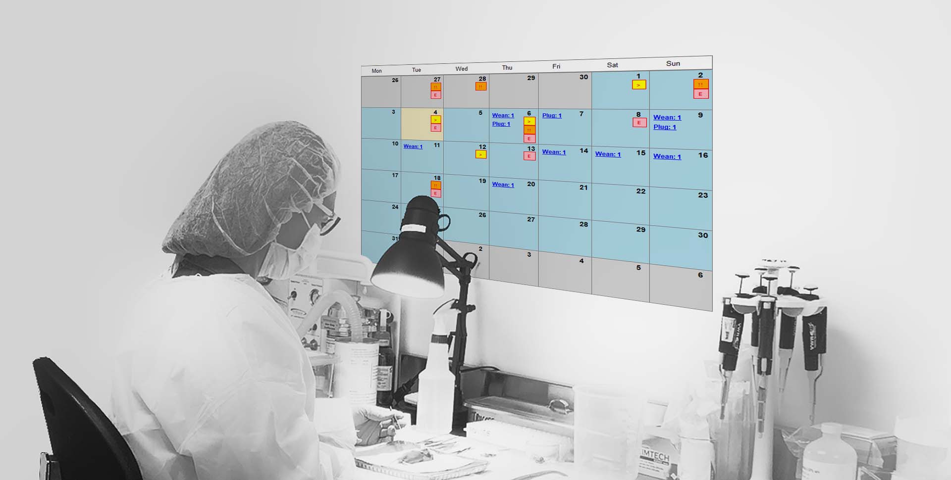 Home Page E-MouseLab Mouse Colony Management System